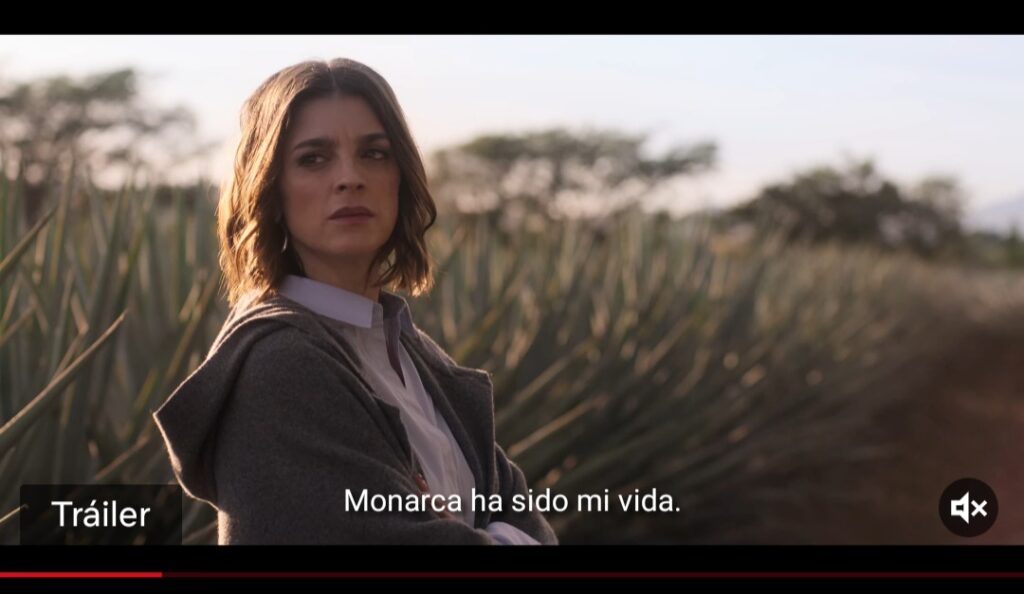 Las mejores series mexicanas en la plataforma Netflix - Perfiles